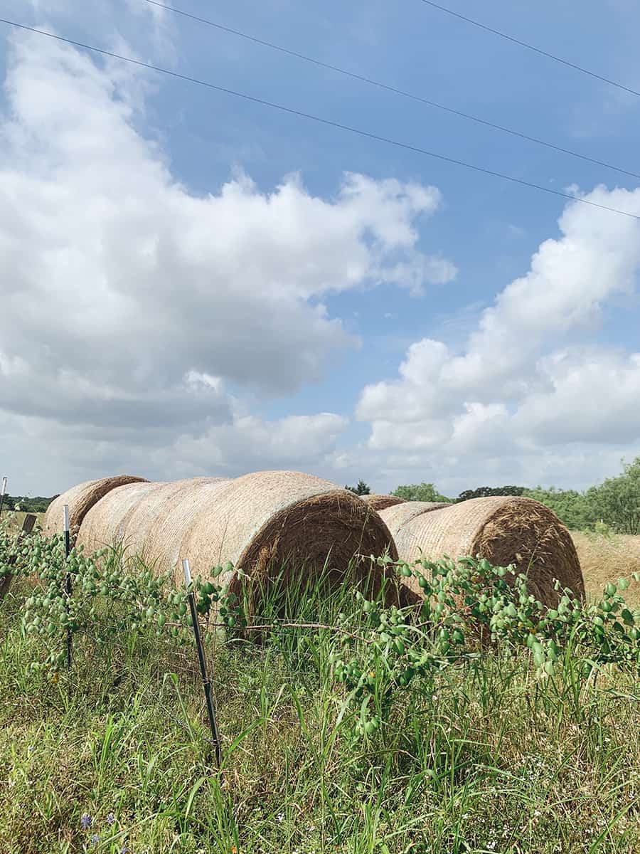 Photo Gallery - The Range Vintage Trailer Resort - Bristol, Texas